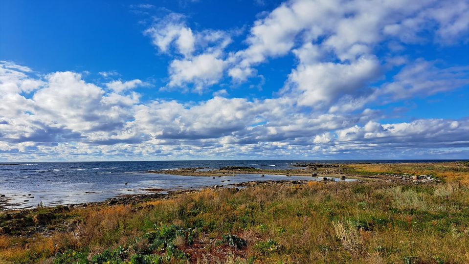 Language, life, alvars, and mushrooms - Eesti Elu